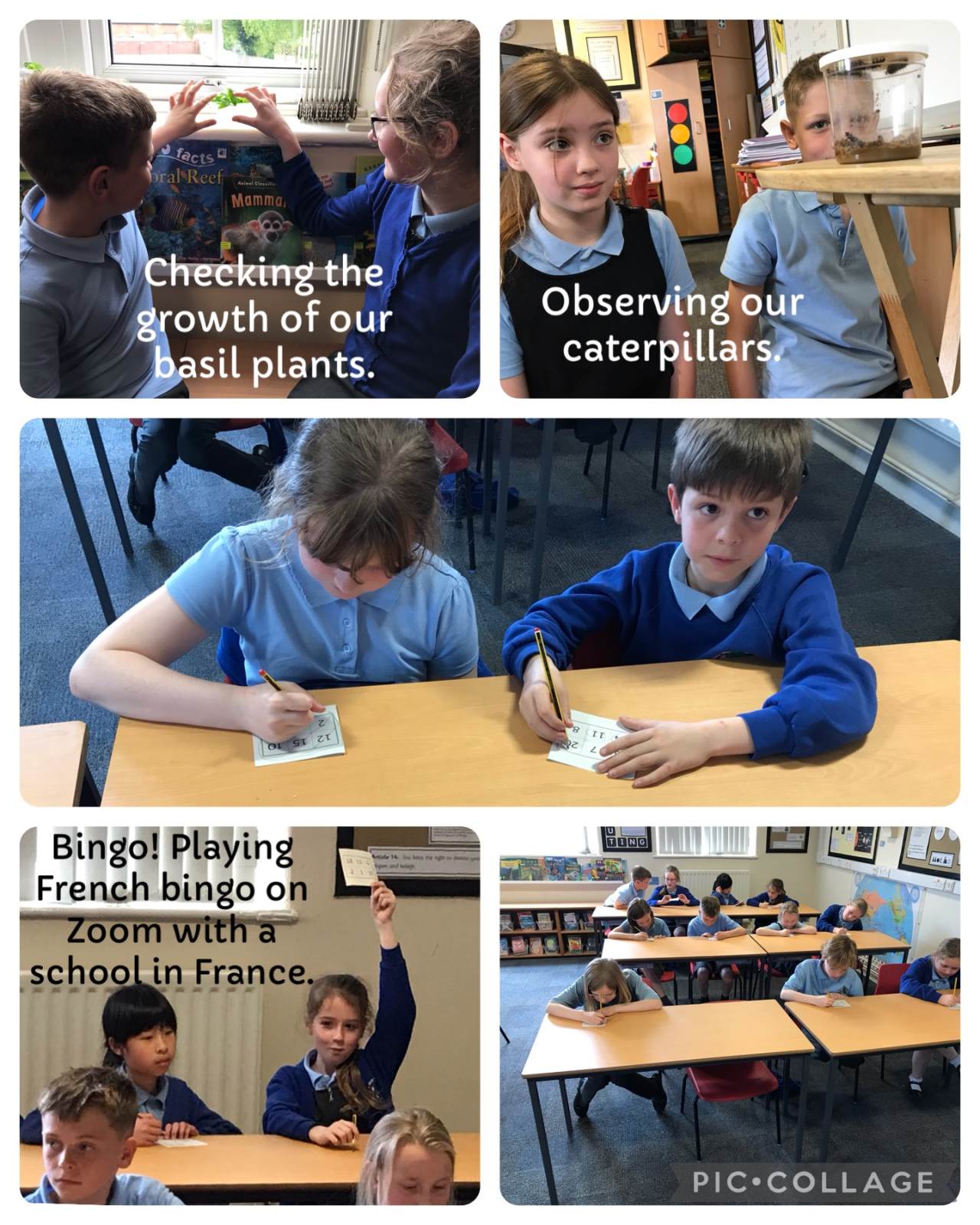 Langley Moor Primary School - Class 5